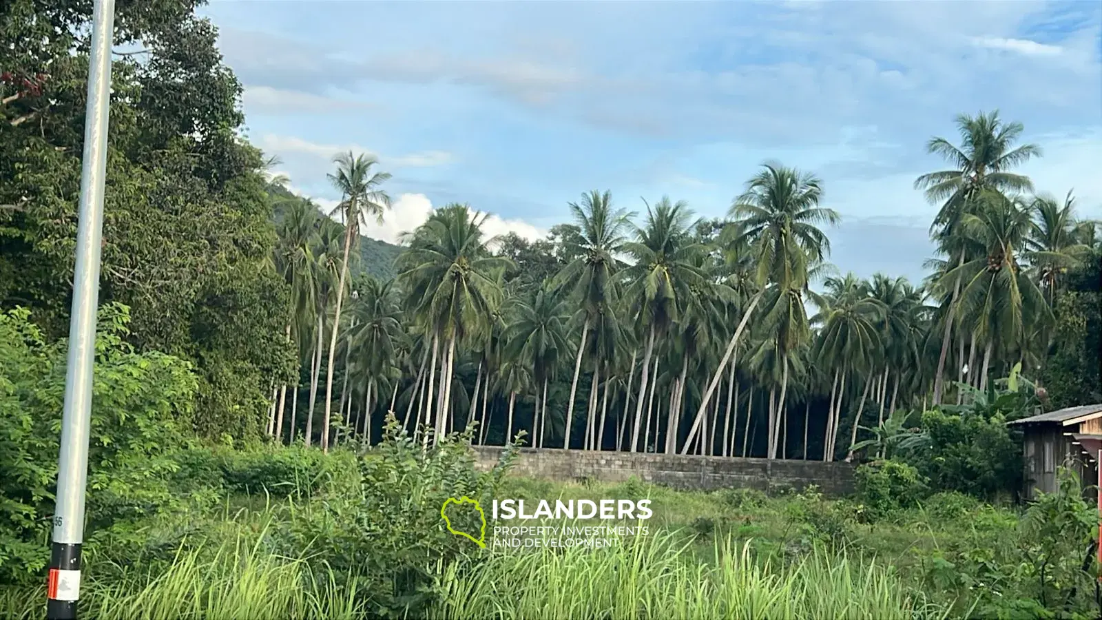 Stunning Mountain View Land for Lease in Ban Madua Wan, Koh Phangan ...